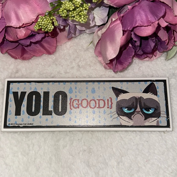 Francesca's Collections | Other | Grumpy Cat Sign Ganz Yolo Good New ...